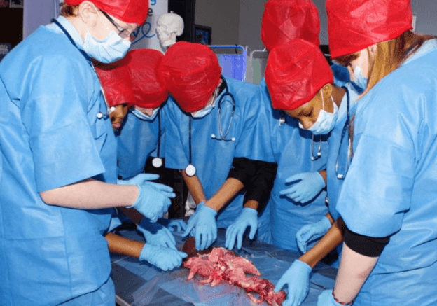 FE News | Learn how to bring dissection to life in your classroom