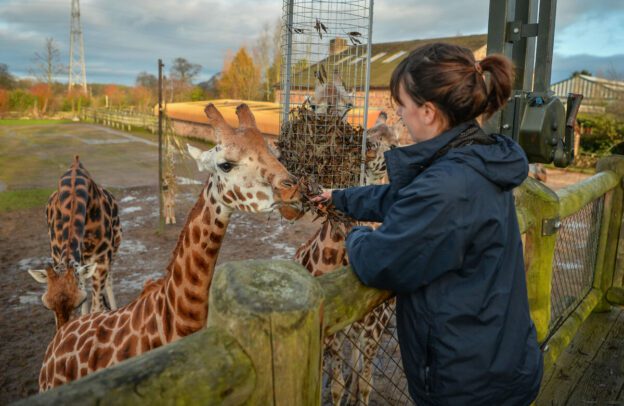 FE News | DCG works with Chester Zoo to launch new animal ...