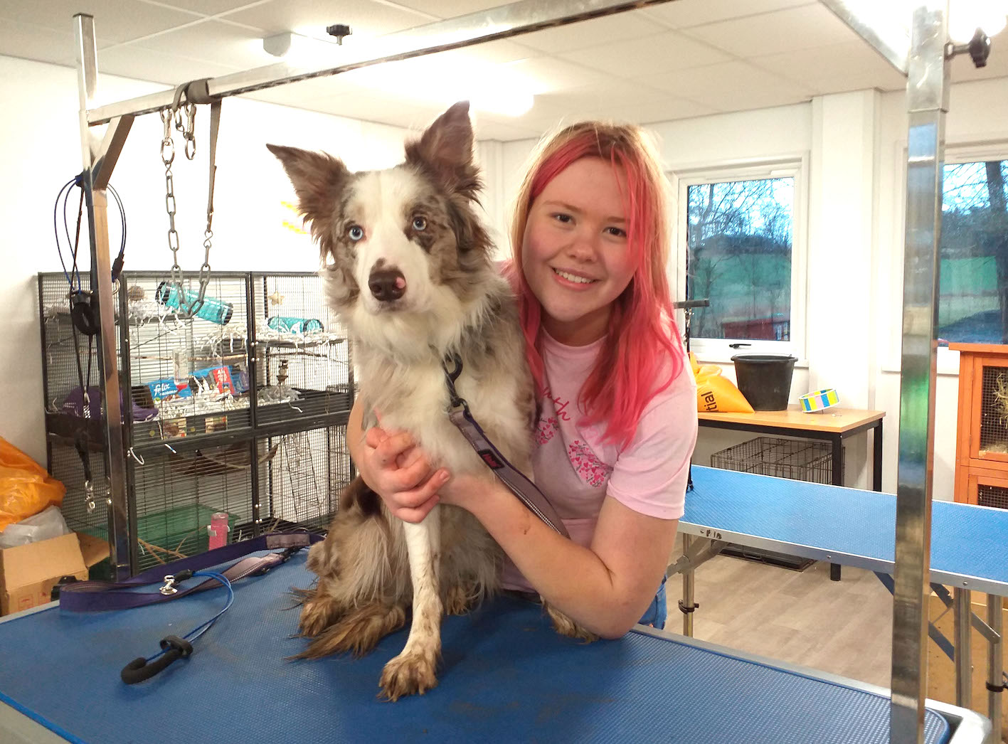 FE News | Animal Care course proves a real confidence booster for Eve