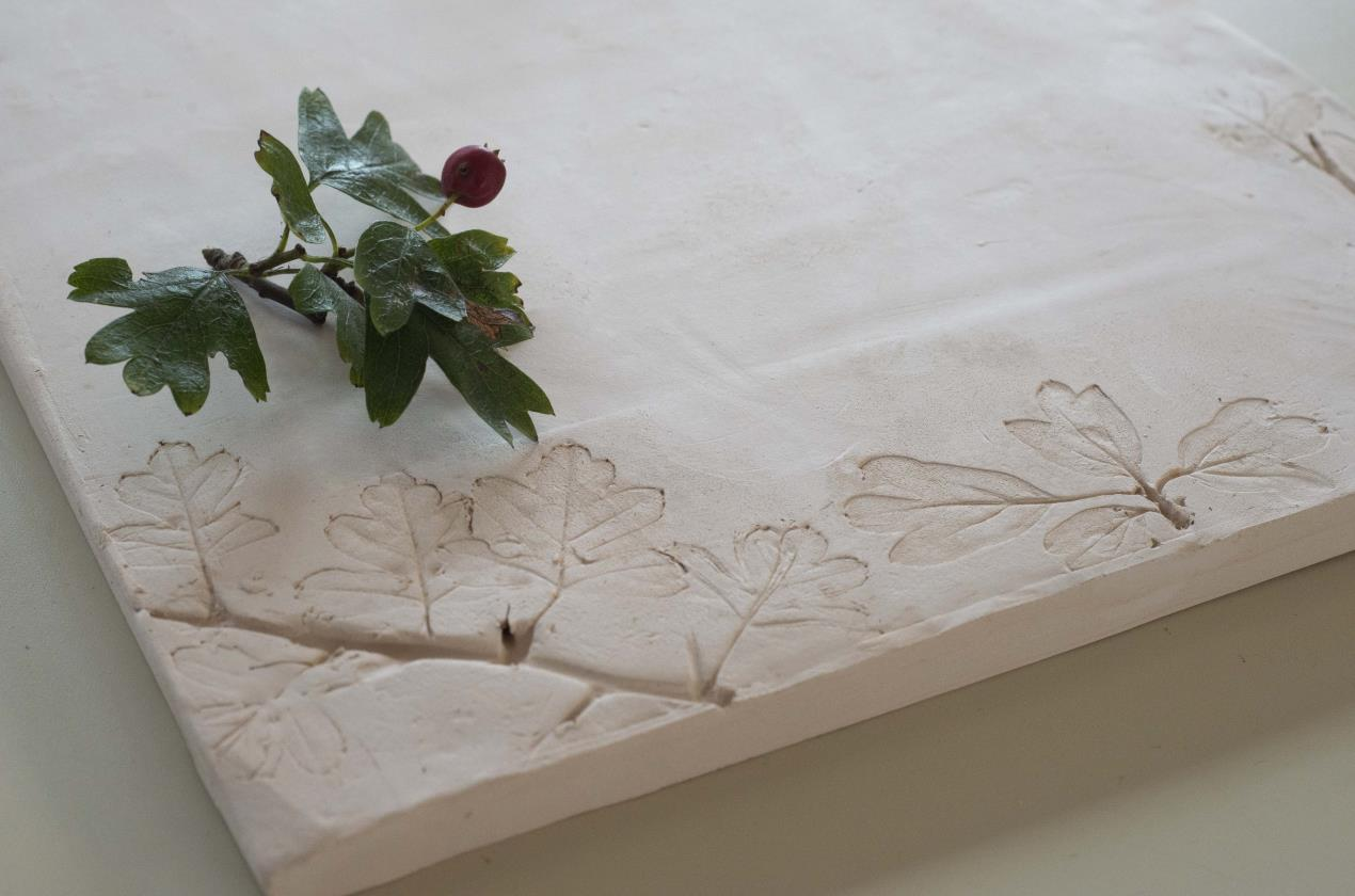 FE News | Stoke community celebrates nature in Blockhouse Park