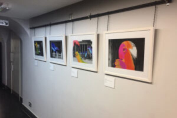 FE News | Celebrating Chester’s contemporary art
