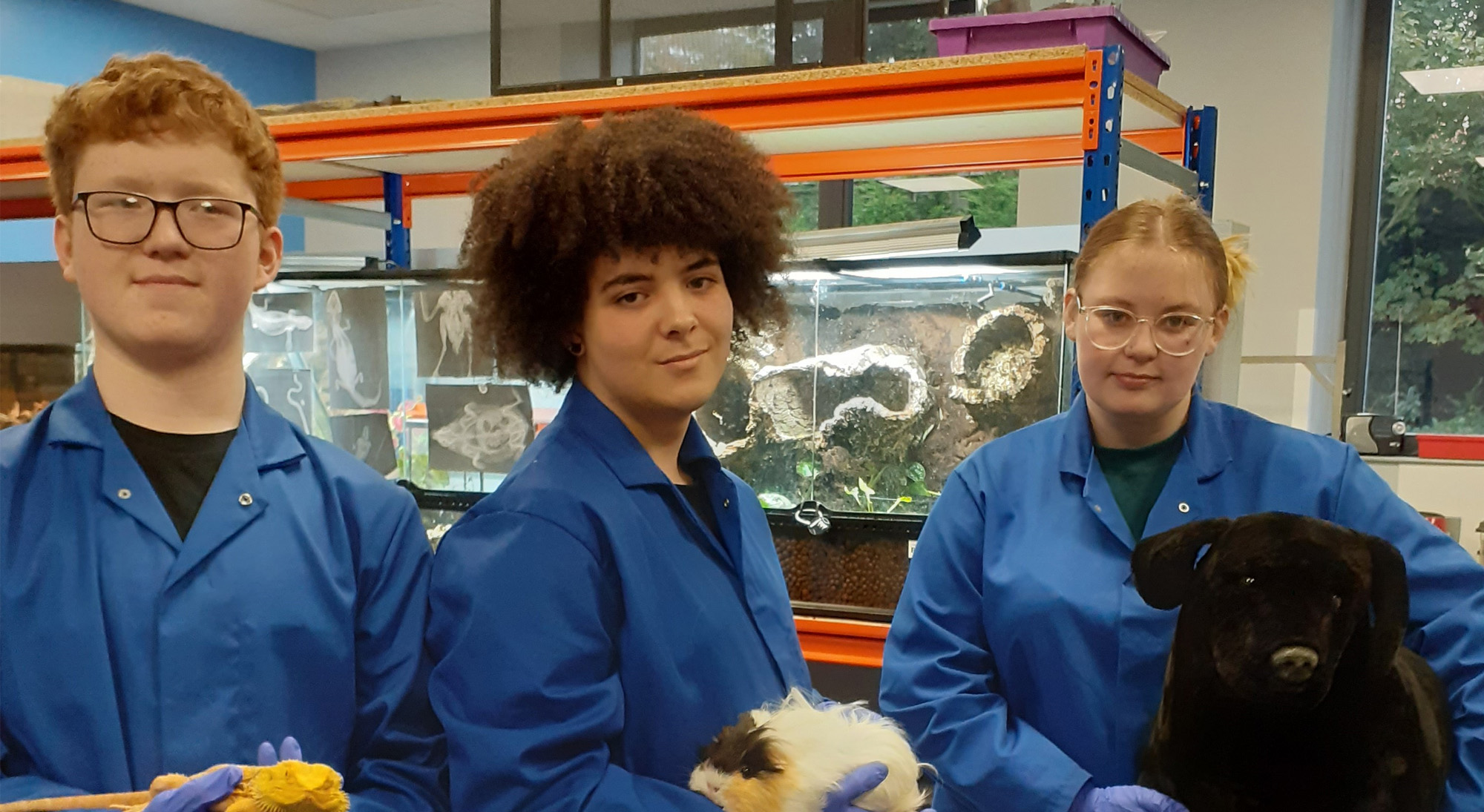 FE News | Students Offer Top Tips for Animal Care this Halloween