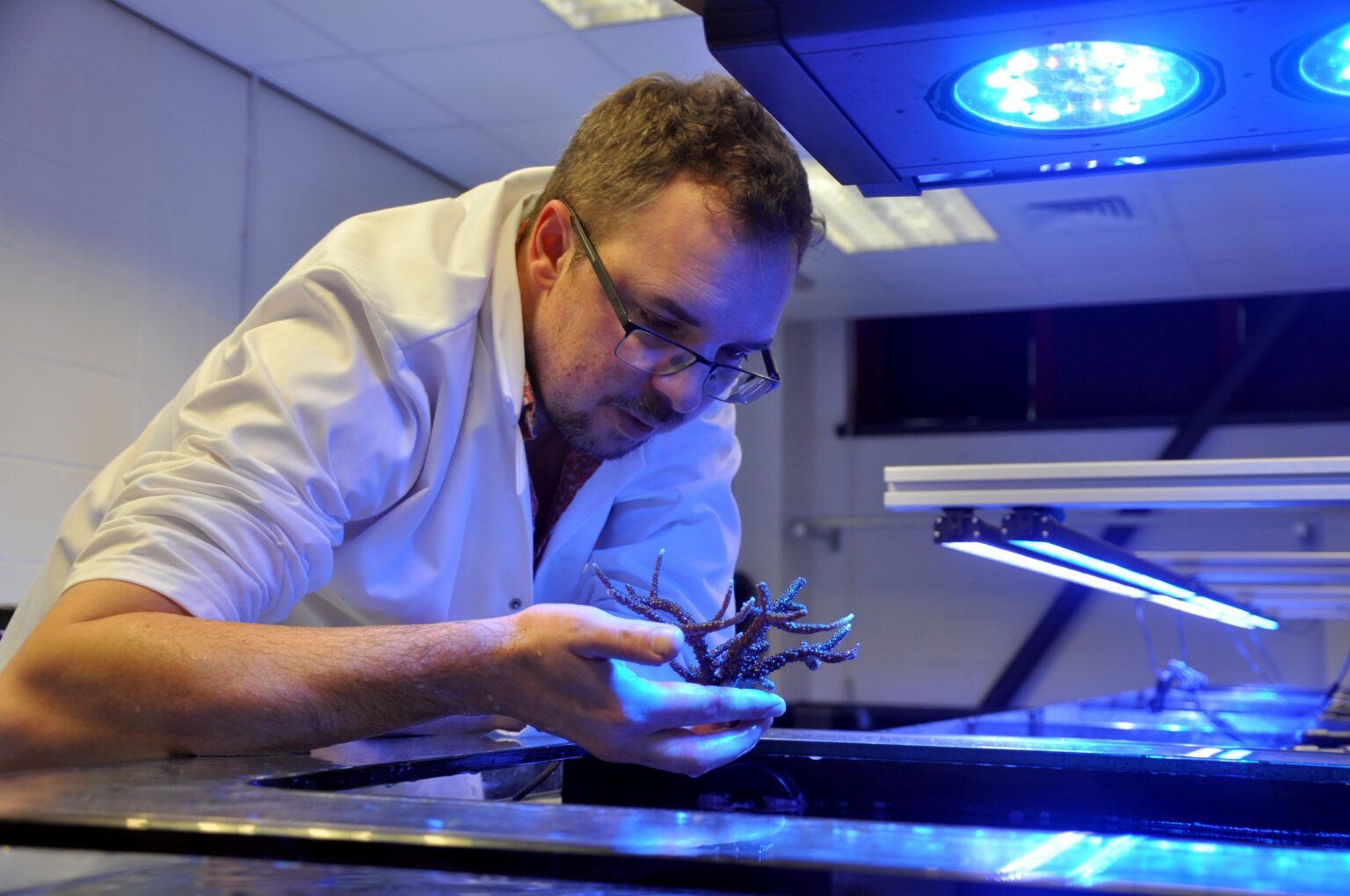 FE News | Learning aim reference service (LARS)